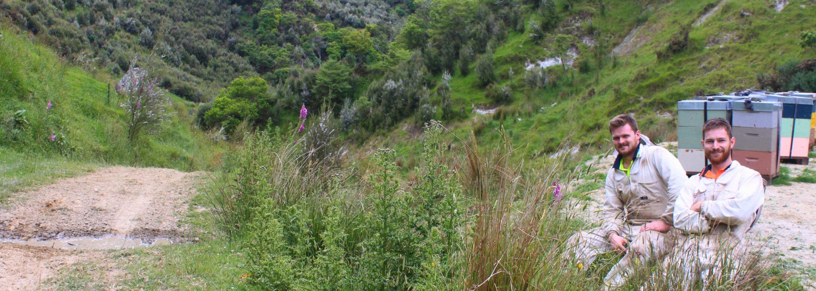 Meet the team – Mason Brothers' Honey